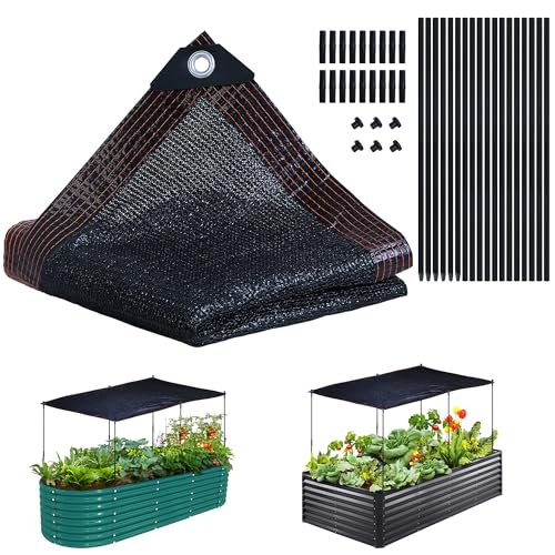 Ideas for a Shade Garden: Transform Your Outdoor Space with Shade Cloth ...